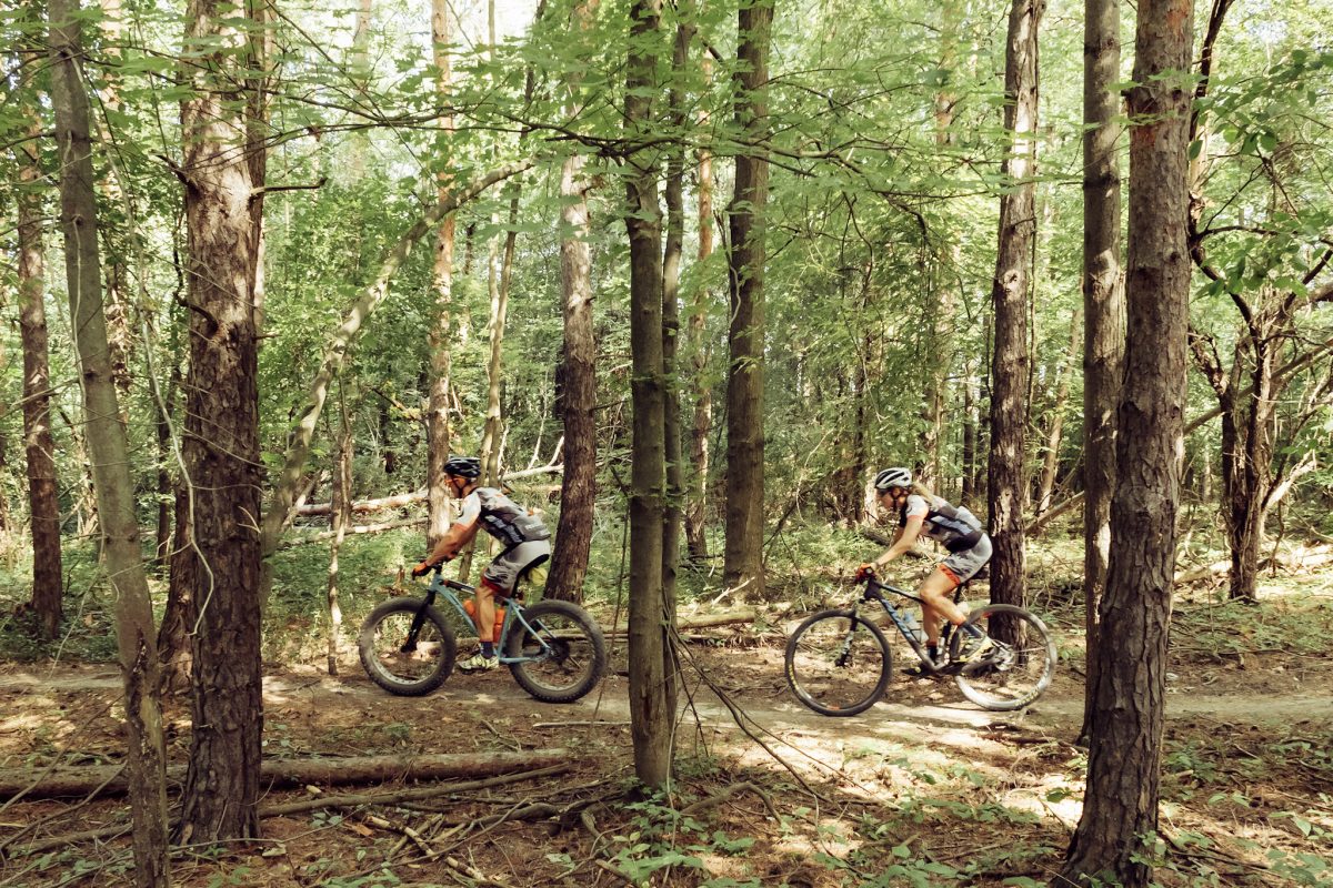 Reactivated – Training and Coaching Systems